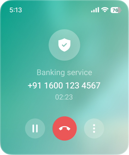 Get 1600 Number Series for BFSI & Government Services